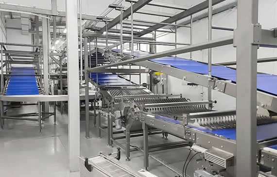 Advanced Hard Biscuit Production Lines from New Era machines